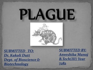 Plague | PPTX