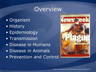 Plague.ppt