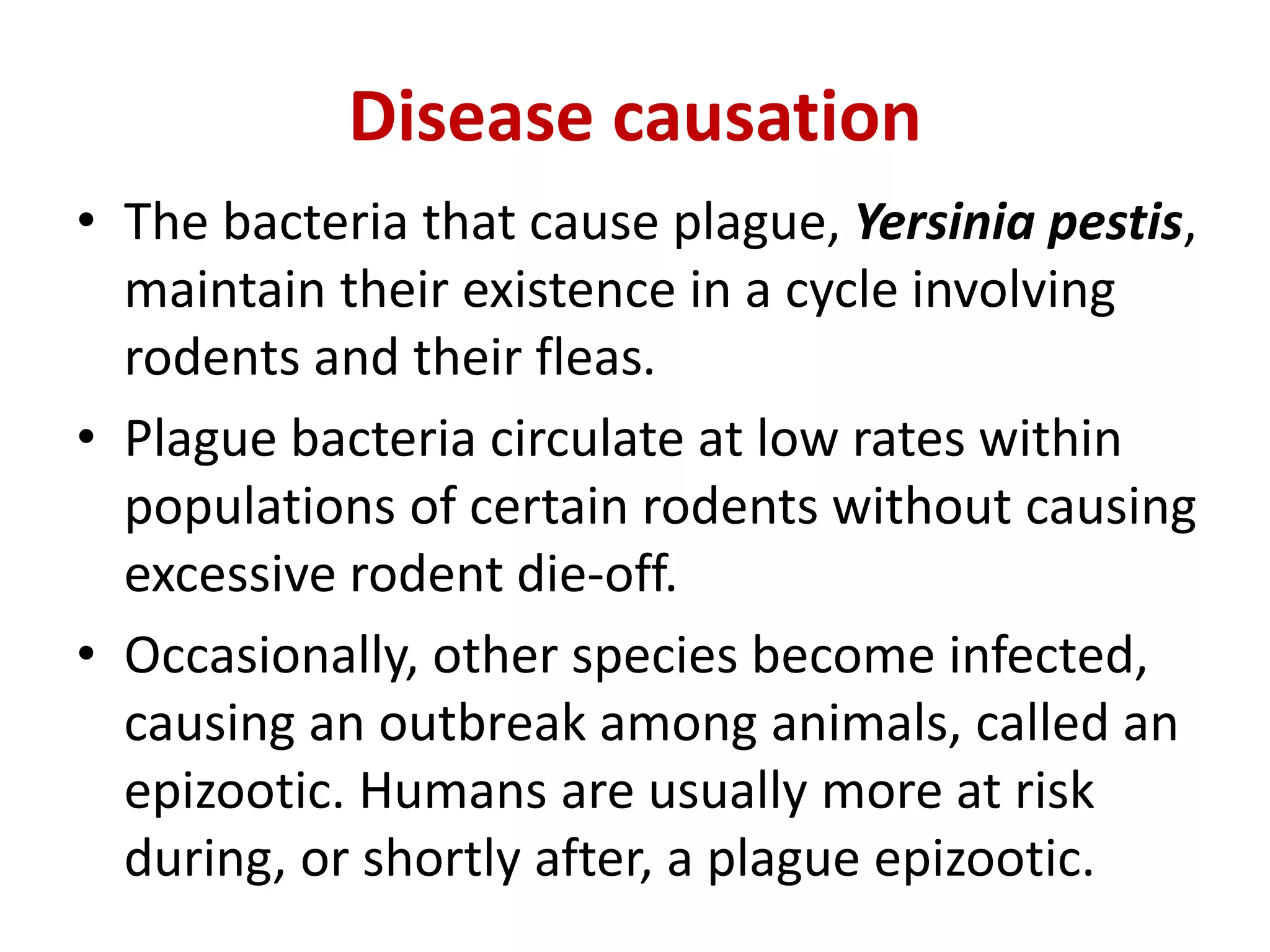 Plague: The Black Death.pptx