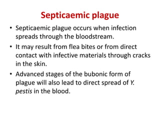 Plague: The Black Death.pptx