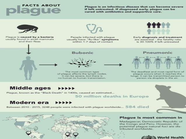 PLAGUE.pptx