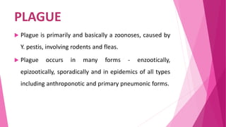 PLAGUE.pptx