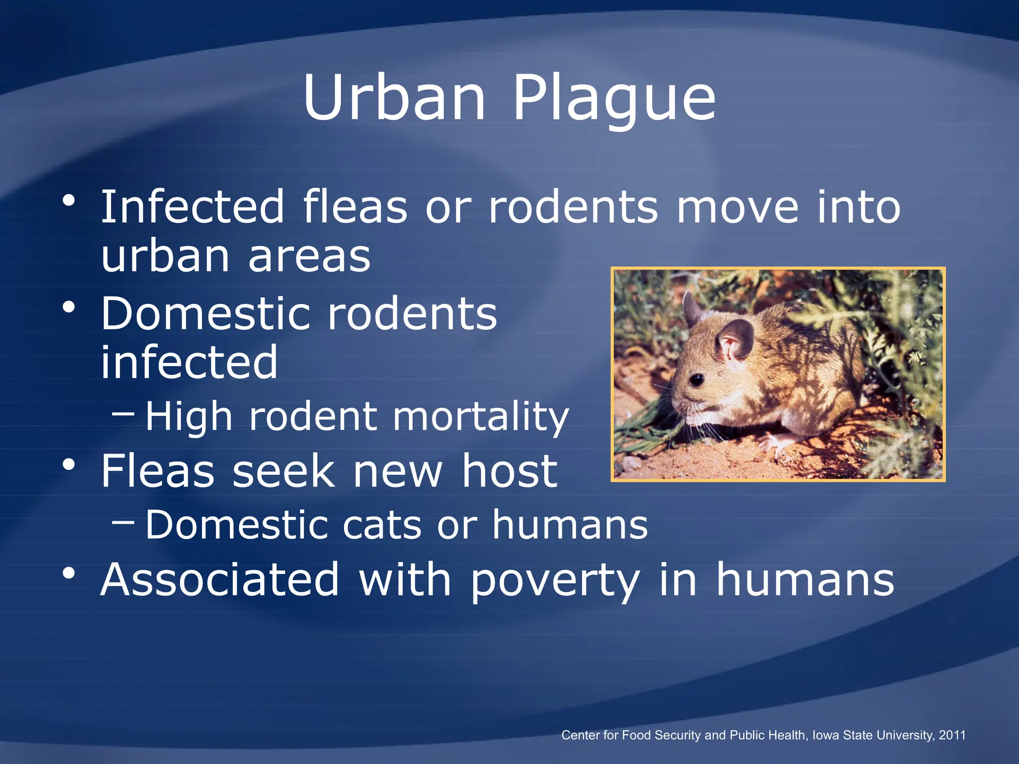 Plague.ppt for reference of plaque all med | PPT