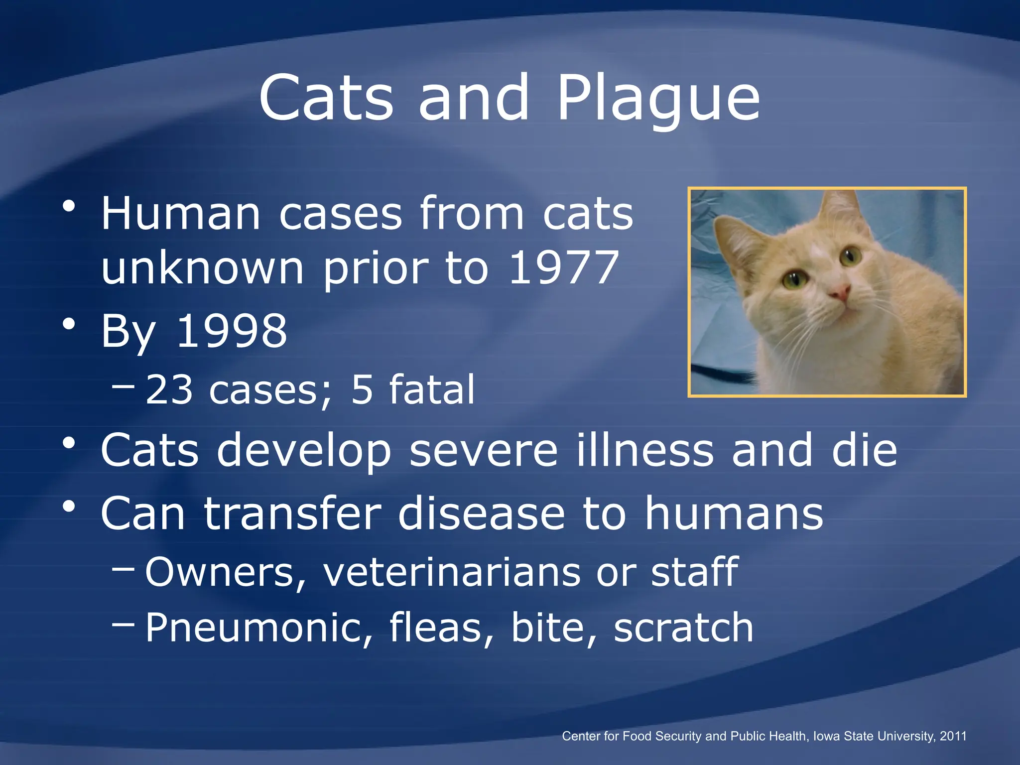 Plague.ppt for reference of plaque all med | PPT