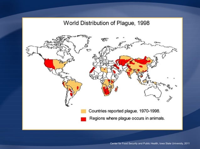 Plague.ppt for reference of plaque all med | PPT