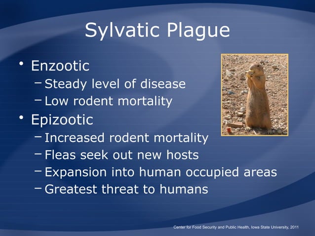 Plague.ppt for reference of plaque all med | PPT