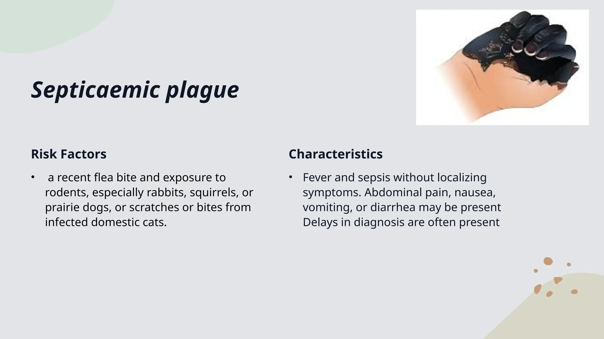 PLAGUE disease in infection disease pptx | PPTX