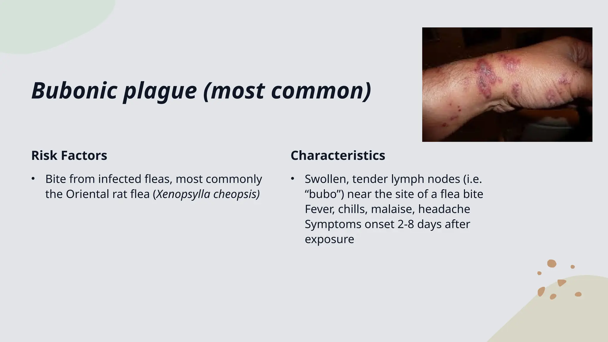 PLAGUE disease in infection disease pptx | PPTX