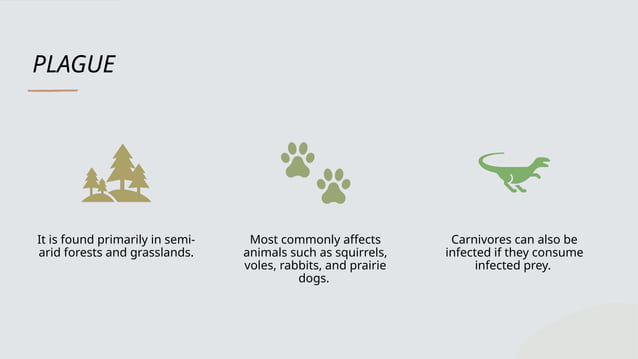 PLAGUE disease in infection disease pptx | PPTX