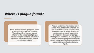 PLAGUE disease in infection disease pptx | PPTX