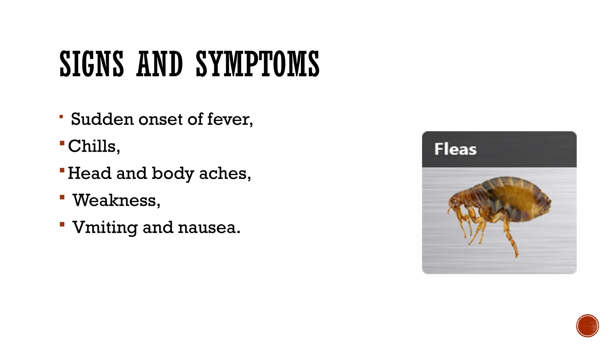 PLAGUE .pptx Septicemic, Bubonic, Pneumonic , MEENA RANA | PPTX
