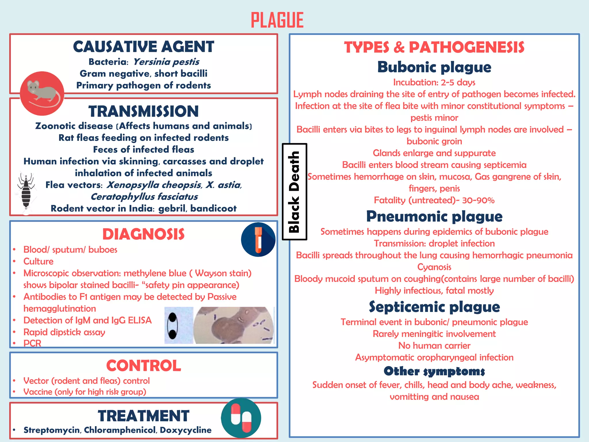Plague infograph | PDF