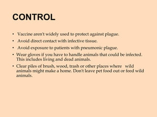 PLAGUE-PRONAMEE DIHINGIA.pptx