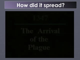 Plague1 | PPT
