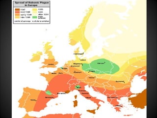 Plague and hundred years war | PPT