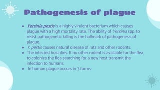 Plague and Leprosy | PPTX