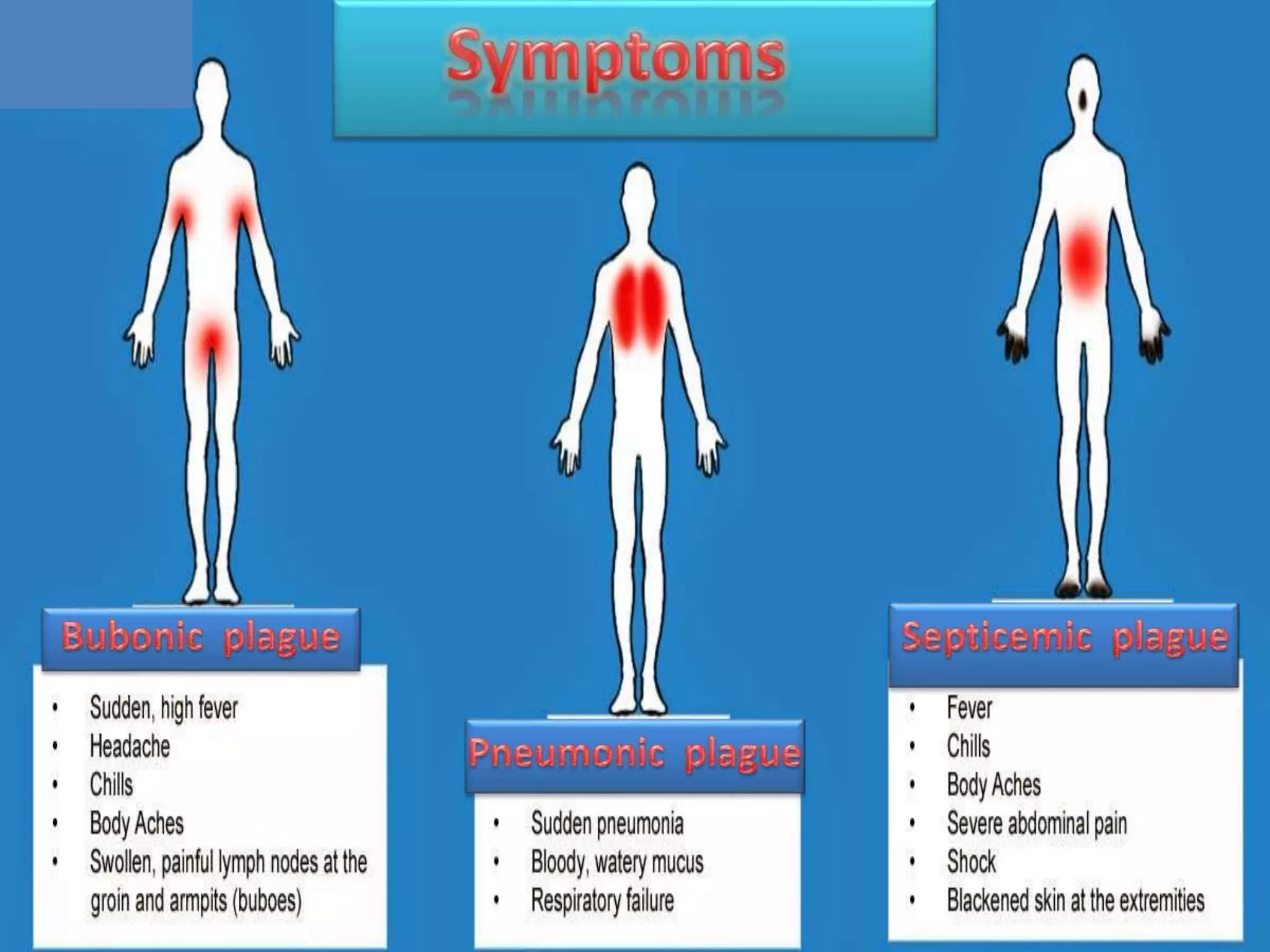 Plague disease | PPTX