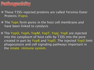 Plague disease | PPTX