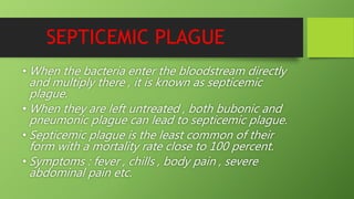 Plague disease | PPTX