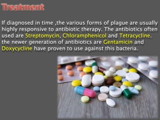 Plague disease | PPTX
