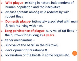 Plague & leptospirosis class.pptx