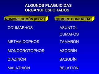 Plaguicidas de tipo organos fosforados y carbamatos | PPT