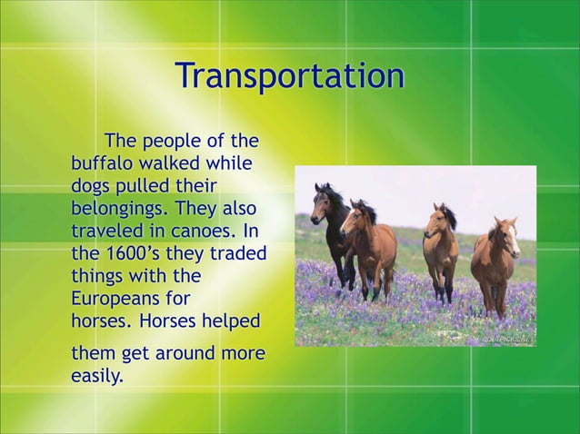 Plains Native Americans | PPT