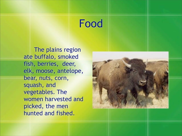 Plains Native Americans | PPT