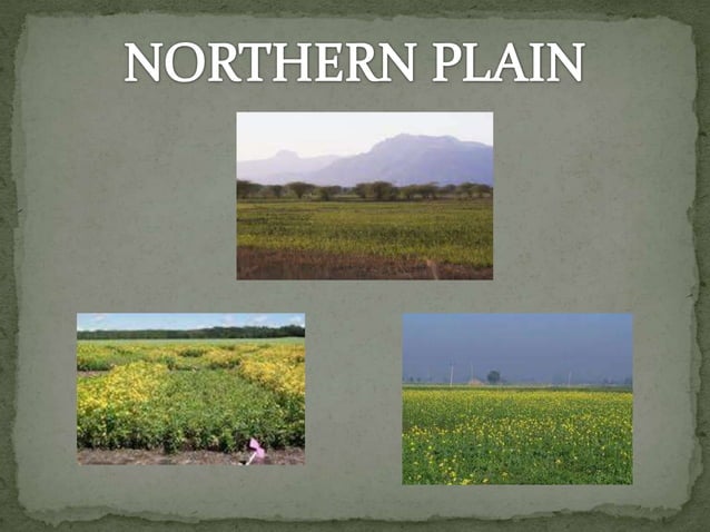 Plains | PPTX