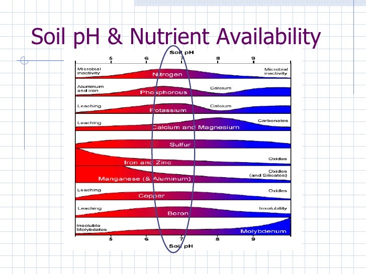 Plain Talk About Soil Chemistry