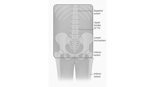 PLAIN XRAY KUB AUG MCU CLASS urology ppt | PPTX