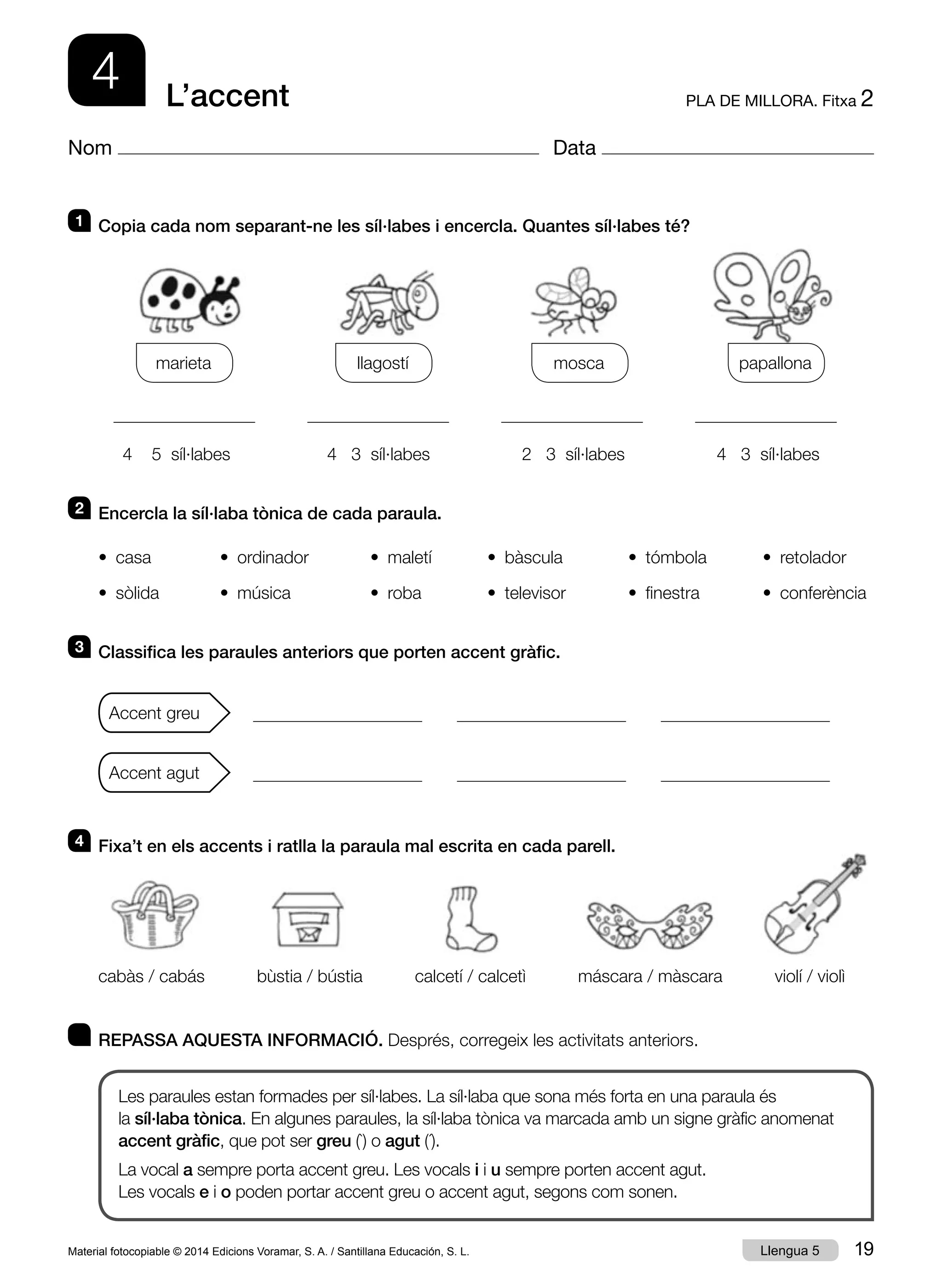 Pla millora Llengua 5 | PDF