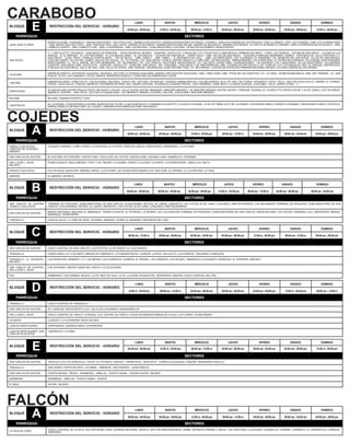 Plan de-carga-electrica | PDF