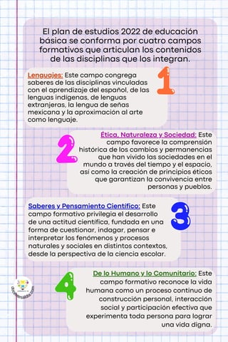 Plan-de-estudios-2022-y-Marco-Curricular-resumen-completo | PDF