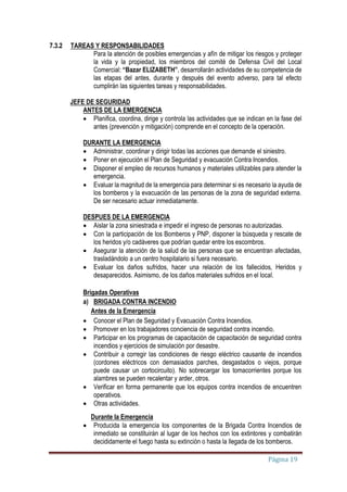 Plan-de-Seguridad-de-Defensa-Tienda-Elizabeth.docx
