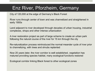 Sustainable Cities: Urban Ecology | PPTX