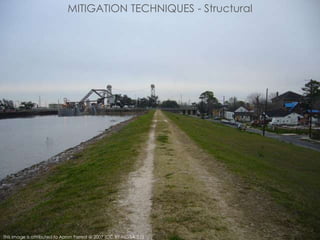 Emergency Management Planning - Mitigation | PPTX