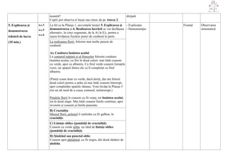 Planşa 2_Plan de lecţie cu instrucţiuni de coasere.doc