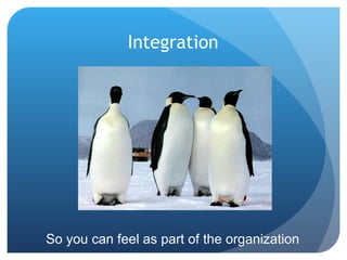 Welcome Plan | PPT