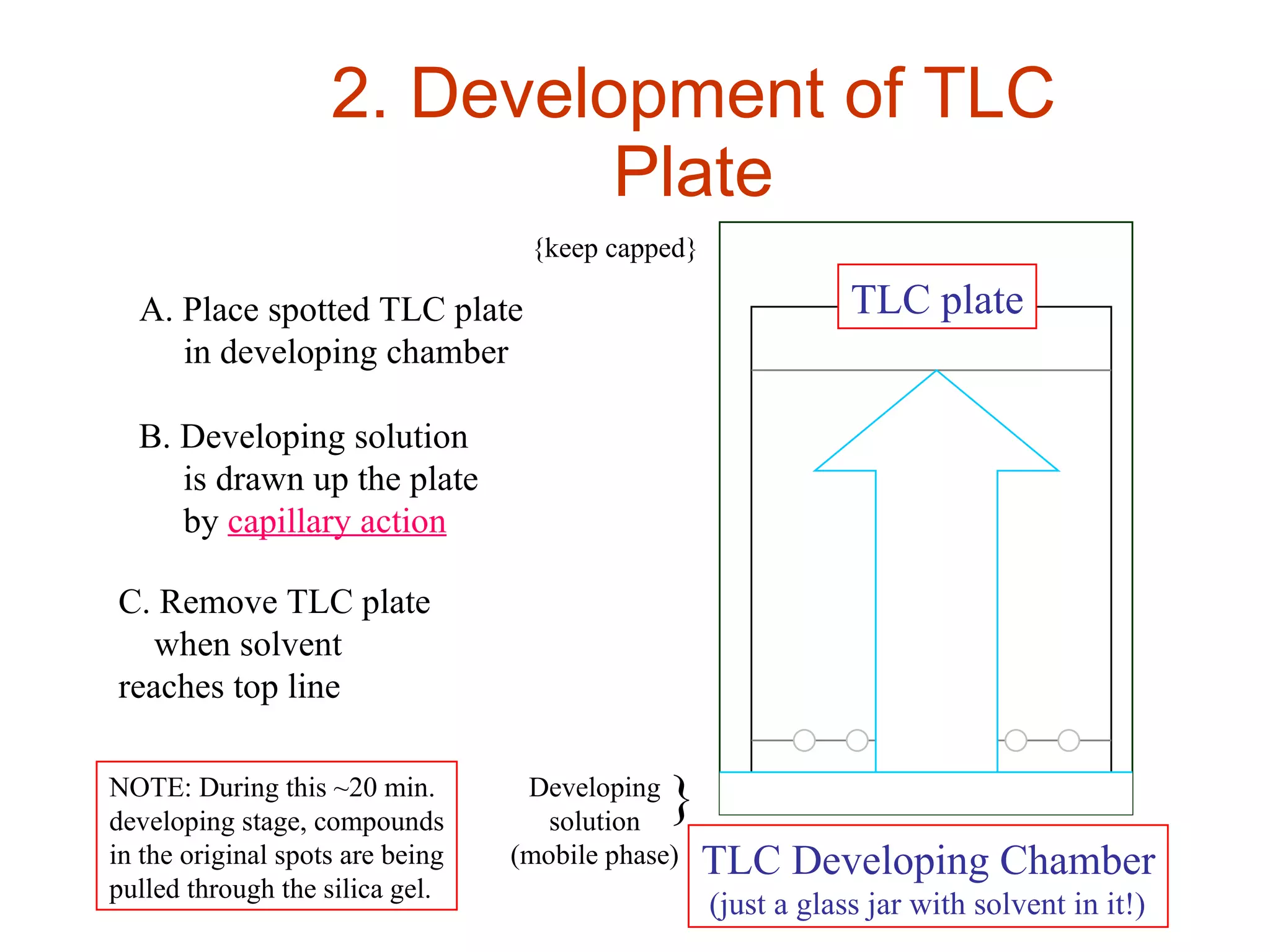 Planar Chromatography | PPT