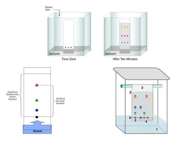 Planar Chromatography