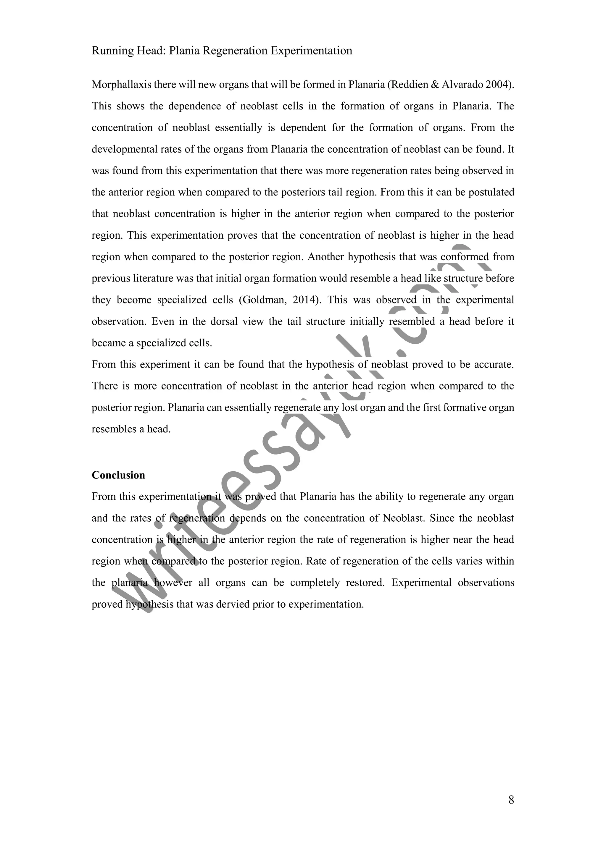 Planaria regeneration | PDF