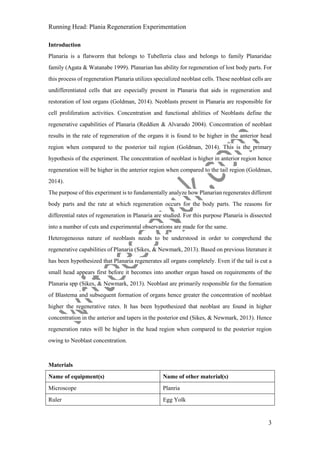 Planaria regeneration | PDF