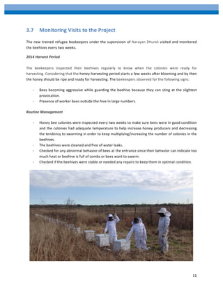 Plan Bee Houston Honey Business Group Project Completion Report | PDF