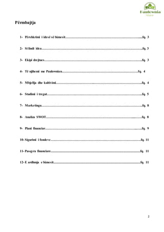 Plan biznesi | DOCX