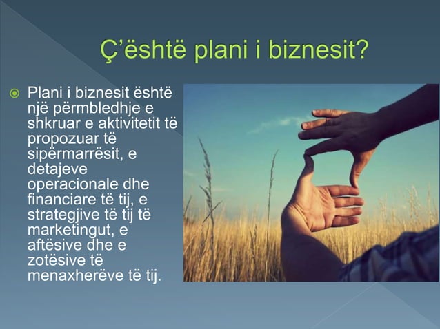 Plan biznesi | PPTX