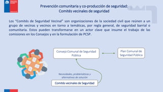 plan comunal de seguridad publica chileno | PDF