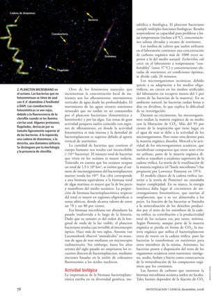 Plancton Bacteriano de los Océanos | PDF