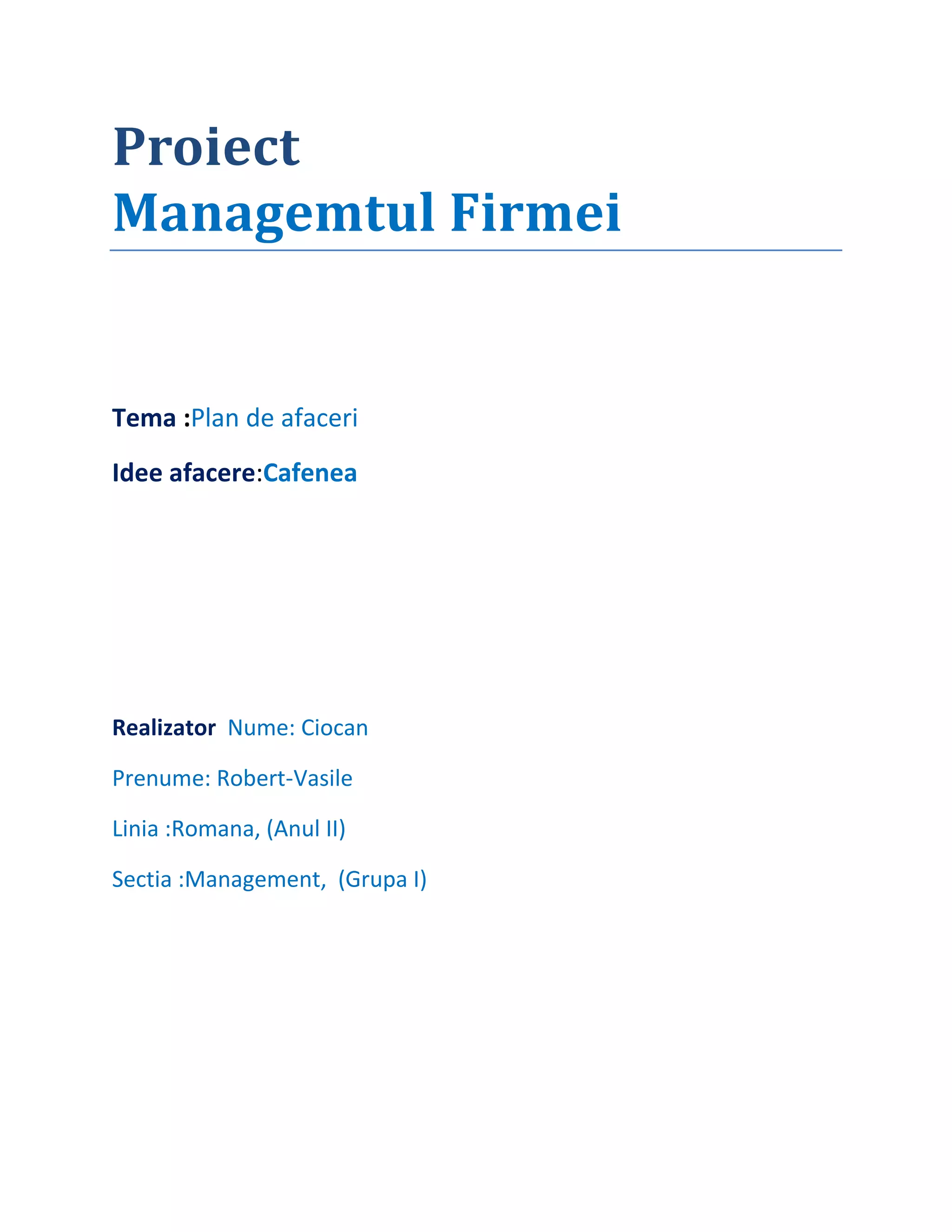 Plan de afaceri | DOCX