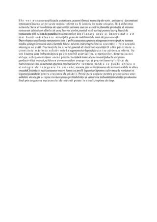 Plan de afaceri | PDF